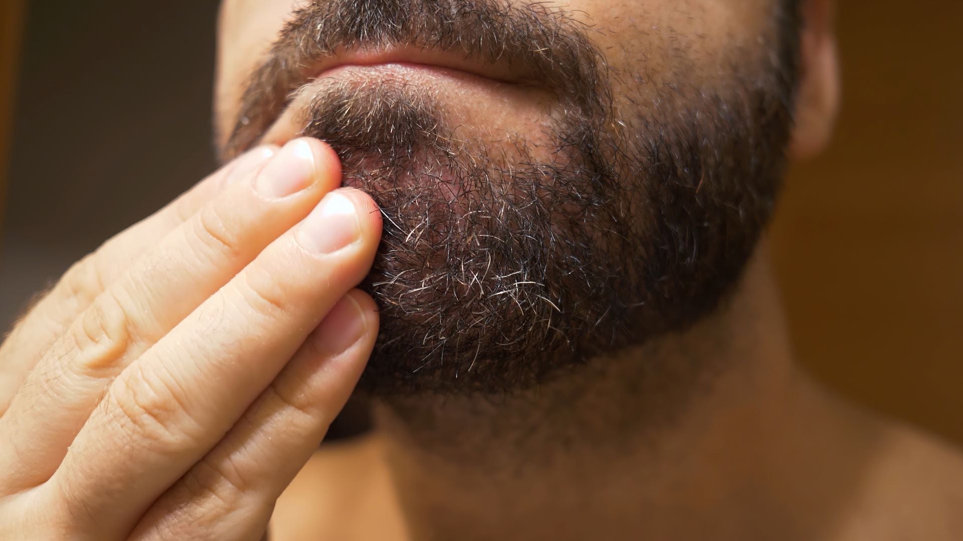 The Best Products for an Itchy Beard, According to SPY – Kamedis®