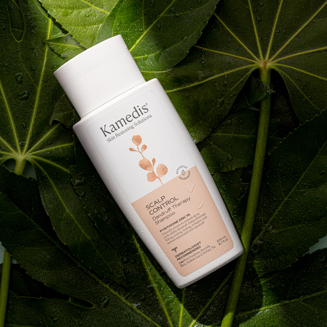 Dandruff Therapy Shampoo | Scaly Scalp Seborrheic Dermatitis Treatment ...